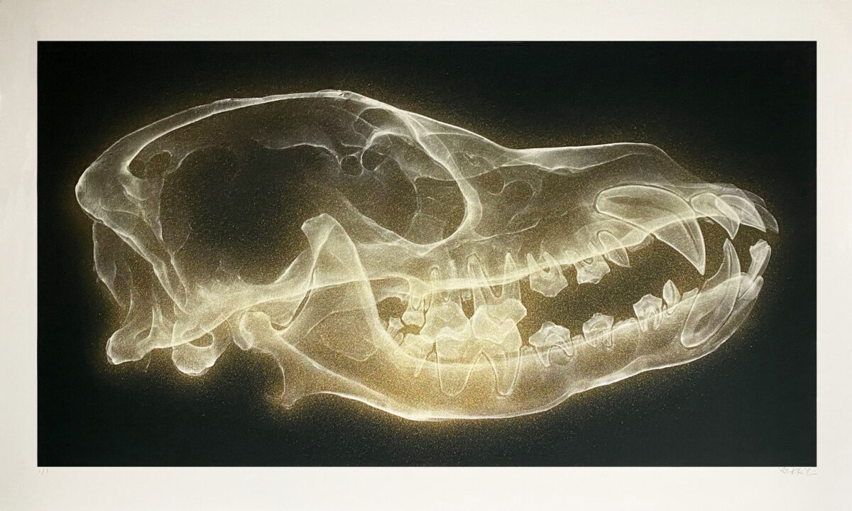 ‘Dog Skull (Chiaroscuro Pink Pale Mint)’ – Aurum Gallery