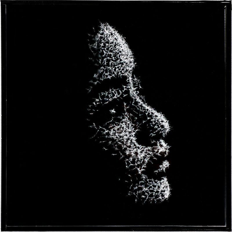 Simon Berger – Aurum Gallery