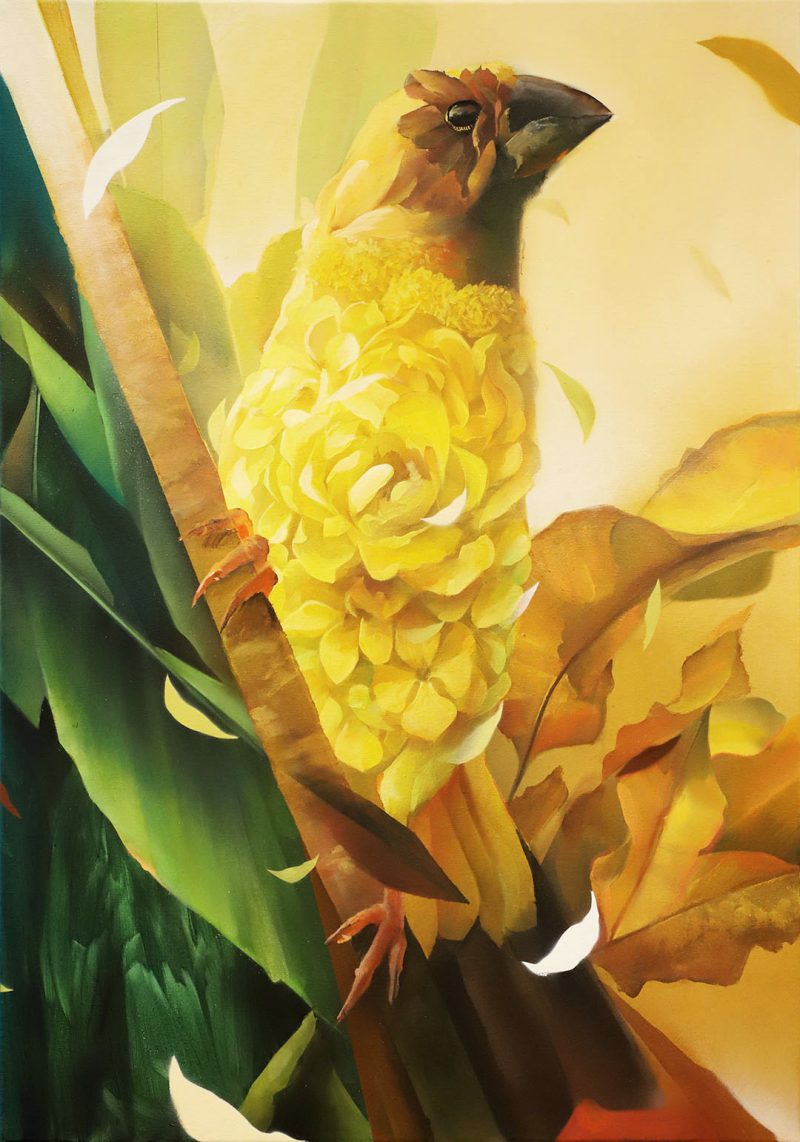 CURTIS HYLTON – Aurum Gallery